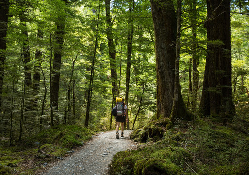 รูปภาพTramping – เลือกดูภาพถ่ายสต็อก เวกเตอร์ และวิดีโอ62,184 | Adobe Stock