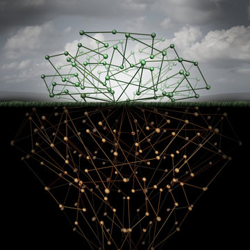 Deepnet Images – Browse 55 Stock Photos, Vectors, and Video | Adobe Stock