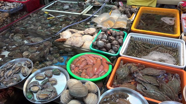 Gaebul Images – Browse 748 Stock Photos, Vectors, and Video | Adobe Stock