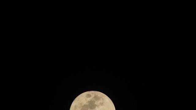 "Moon Face" Images – Browse 931 Stock Photos, Vectors, and Video ...