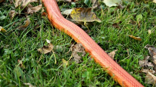 Sidle Images – Browse 506 Stock Photos, Vectors, and Video | Adobe Stock