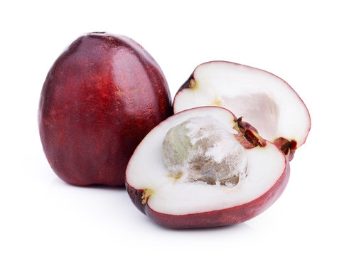 รูปภาพPomerac – เลือกดูภาพถ่ายสต็อก เวกเตอร์ และวิดีโอ164 | Adobe Stock