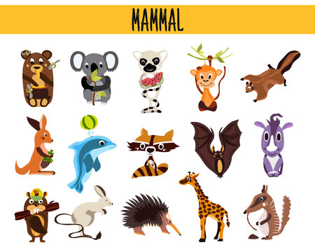 Megaladapidae Bilder – Durchsuchen 21 Archivfotos, Vektorgrafiken und ...