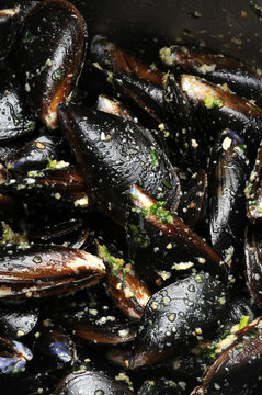 Dagnje Images – Browse 6 Stock Photos, Vectors, and Video | Adobe Stock