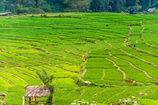 Rantambe Images – Browse 10 Stock Photos, Vectors, and Video | Adobe Stock