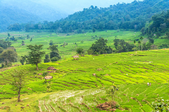 Rantambe Images – Browse 10 Stock Photos, Vectors, and Video | Adobe Stock