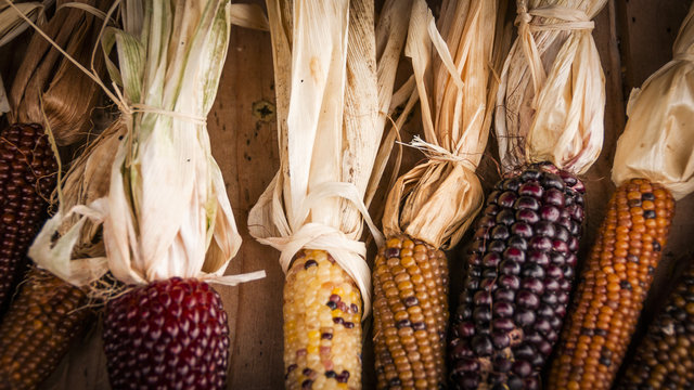 Chippewa Tribe Food | Deporecipe.co