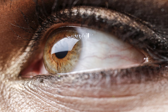 Up Close Human Veins