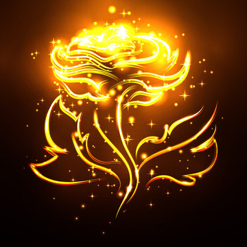 "Shining Rose" Images – Browse 323 Stock Photos, Vectors, and Video ...