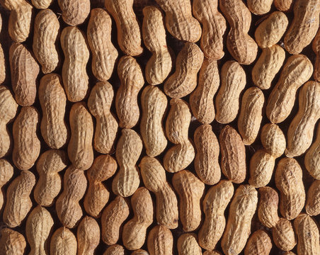 รูปภาพArachide – เลือกดูภาพถ่ายสต็อก เวกเตอร์ และวิดีโอ13,340 | Adobe Stock