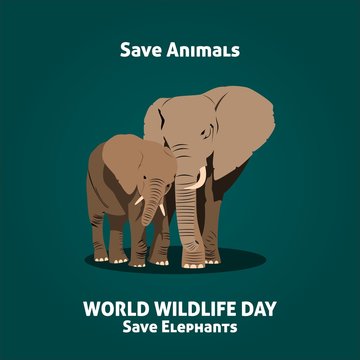 "Save Animals" Imagens – Procure 710 fotos, vetores e vídeos | Adobe Stock