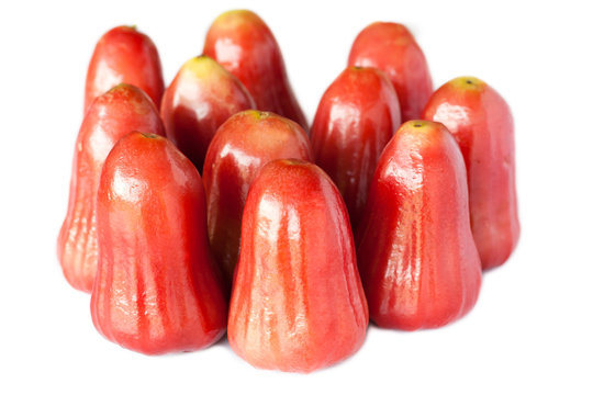 Jumbu Images – Browse 61 Stock Photos, Vectors, and Video | Adobe Stock