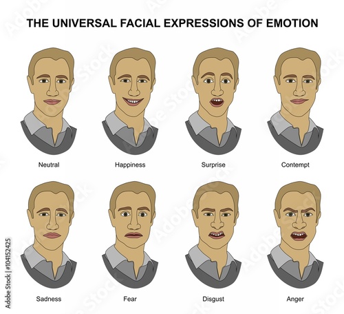 "The universal facial expressions of emotion. Non-verbal communication ...