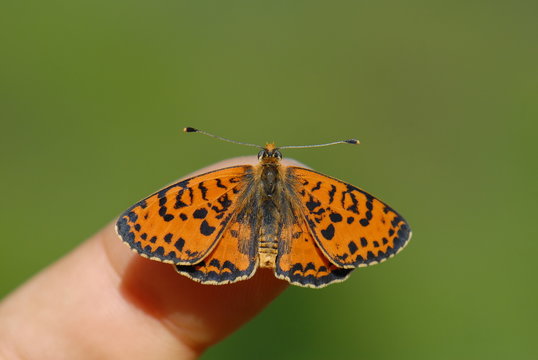 รูปภาพIparhan – เลือกดูภาพถ่ายสต็อก เวกเตอร์ และวิดีโอ139 | Adobe Stock