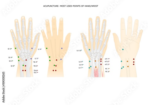 "acupuncture: main points of the hand and the wrist" Stock image and ...