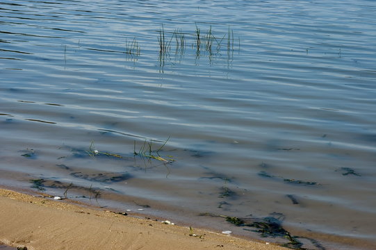 Rabisha Bilder – Durchsuchen 79 Archivfotos, Vektorgrafiken und Videos ...