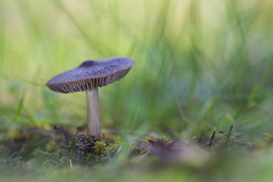 รูปภาพDescomponedor – เลือกดูภาพถ่ายสต็อก เวกเตอร์ และวิดีโอ12 | Adobe ...