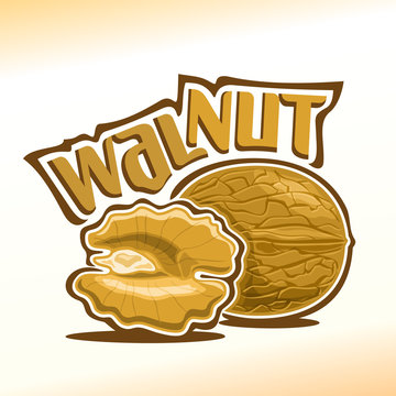 Walnut Logo