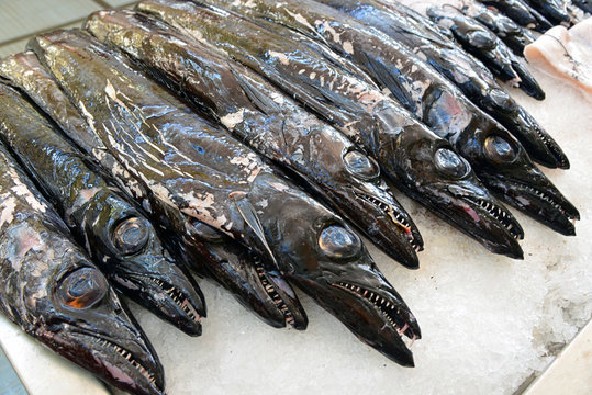 รูปภาพEspadon – เลือกดูภาพถ่ายสต็อก เวกเตอร์ และวิดีโอ430 | Adobe Stock