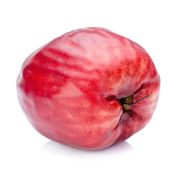 รูปภาพPomerac – เลือกดูภาพถ่ายสต็อก เวกเตอร์ และวิดีโอ164 | Adobe Stock