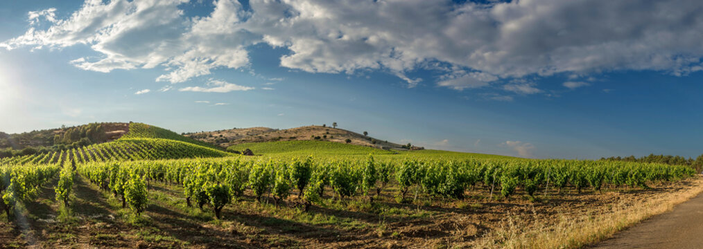 Vigna Bilder – Durchsuchen 16,716 Archivfotos, Vektorgrafiken und ...