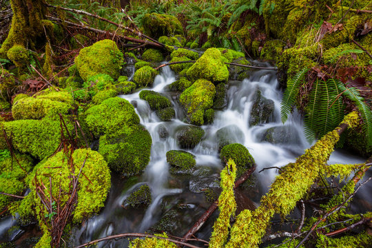 Watershed Images – Browse 147,888 Stock Photos, Vectors, and Video ...