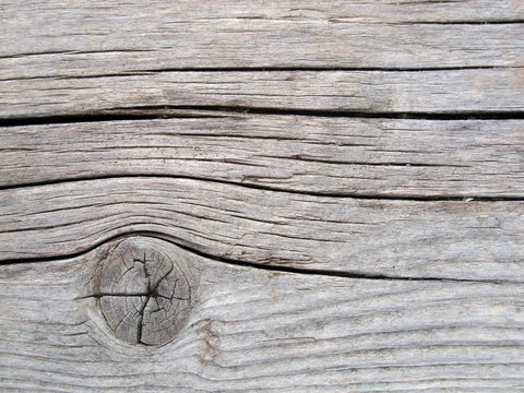 Chipwood Bilder – Durchsuchen 130 Archivfotos, Vektorgrafiken und ...