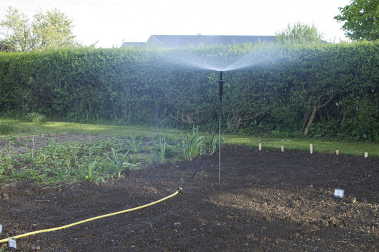 Bevattning Images – Browse 20 Stock Photos, Vectors, and Video | Adobe ...