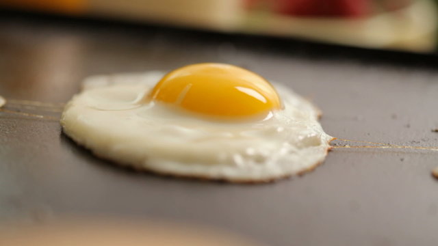 "One Egg" Images – Browse 450 Stock Photos, Vectors, and Video | Adobe ...
