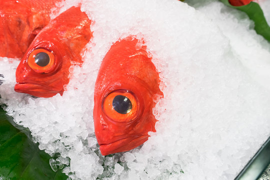 Kinmedai bilder – Bläddra bland 68 stockfoton, vektorer och videor ...