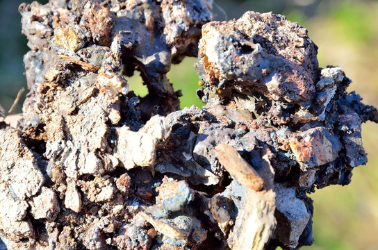 Anthracene Images – Browse 184 Stock Photos, Vectors, and Video | Adobe ...