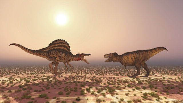 Spinosaurus Bilder – Durchsuchen 8,159 Archivfotos, Vektorgrafiken und ...