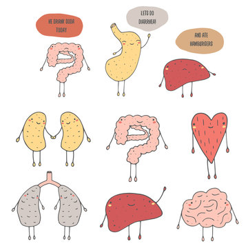 Funny Organs Bilder – Durchsuchen 12,741 Archivfotos, Vektorgrafiken ...