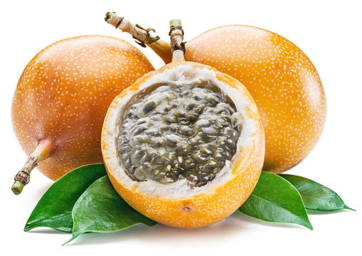 Barbadine Images – Parcourir 326 le catalogue de photos, vecteurs et ...