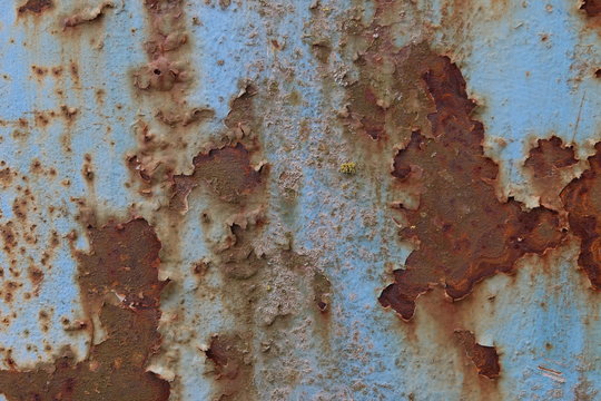 Oxidiert bilder – Bläddra bland 839 stockfoton, vektorer och videor ...