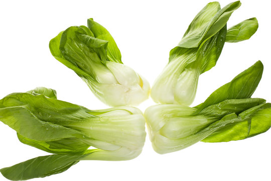 รูปภาพPechay – เลือกดูภาพถ่ายสต็อก เวกเตอร์ และวิดีโอ72,817 | Adobe Stock