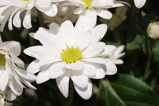 hayuhi photos, images, assets | Adobe Stock