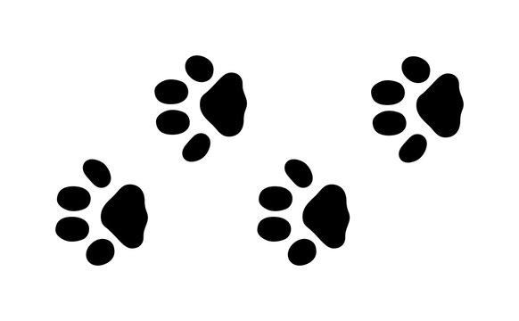 Rabbit Paw Prints Clipart