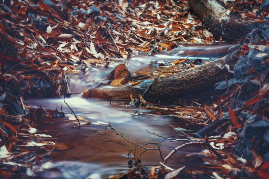 "Rapid Stream" Bilder – Durchsuchen 209 Archivfotos, Vektorgrafiken und ...
