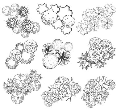 Landscape Architecture Symbols Images – Browse 351,794 Stock Photos ...