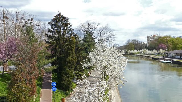 รูปภาพBega – เลือกดูภาพถ่ายสต็อก เวกเตอร์ และวิดีโอ1,002 | Adobe Stock