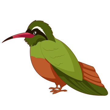 「Xantus」の写真素材 | 91件の無料イラスト画像 | Adobe Stock