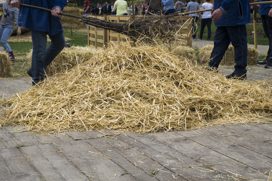 รูปภาพStrohsack – เลือกดูภาพถ่ายสต็อก เวกเตอร์ และวิดีโอ11 | Adobe Stock