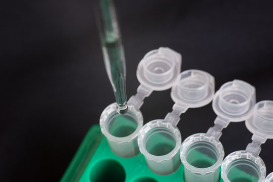 รูปภาพMicro-Tube – เลือกดูภาพถ่ายสต็อก เวกเตอร์ และวิดีโอ32 | Adobe Stock