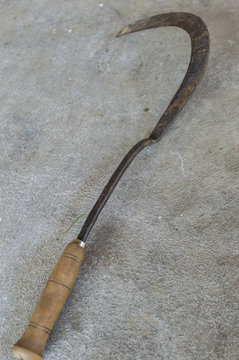 Sacho Images – Browse 16 Stock Photos, Vectors, and Video | Adobe Stock