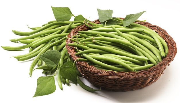 Bacello bilder – Bläddra bland 249 stockfoton, vektorer och videor ...