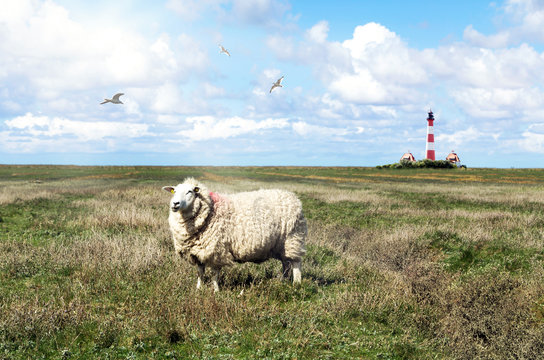 692 BESTE Warft BILDER, STOCK-FOTOS & -VEKTORGRAFIKEN | Adobe Stock