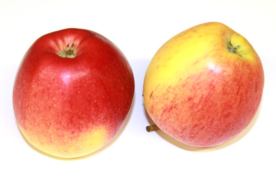 Jonagored bilder – Bläddra bland 105 stockfoton, vektorer och videor ...