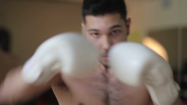 Boxercise bilder – Bläddra bland 932 stockfoton, vektorer och videor | Adobe Stock