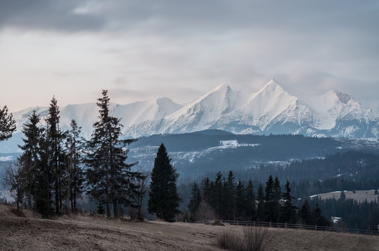 Spisz Bilder – Durchsuchen 5,472 Archivfotos, Vektorgrafiken und Videos ...